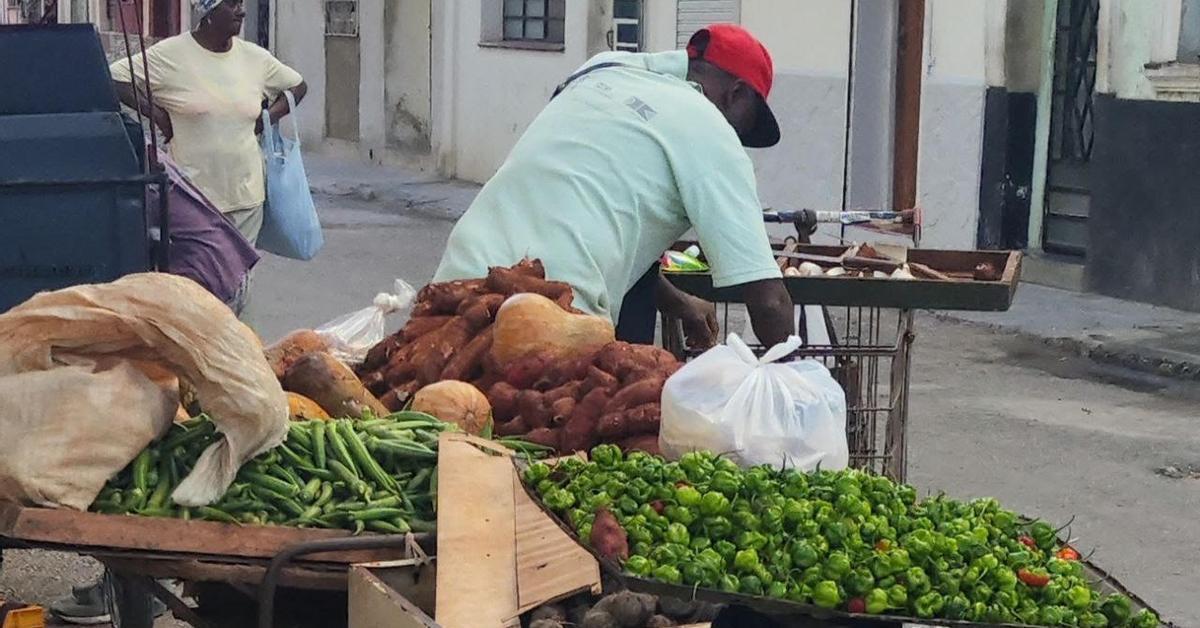 De 50 pesos la libra a 180, el ají cachucha se convierte en un lujo en Cuba