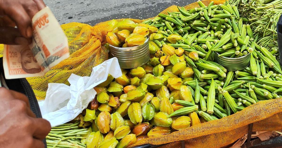 Caro y exótico, el quimbombó ya no resbala en las cocinas cubanas
