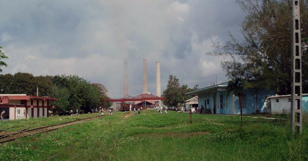 Además del 'bloqueo', Azcuba culpa a la migración y la delincuencia por ...