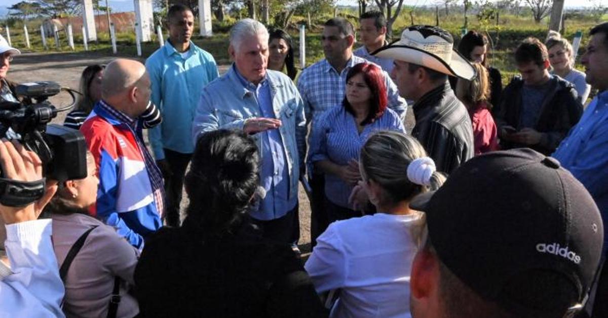 Díaz-Canel exige producir más leche, pero pide a los campesinos que ...